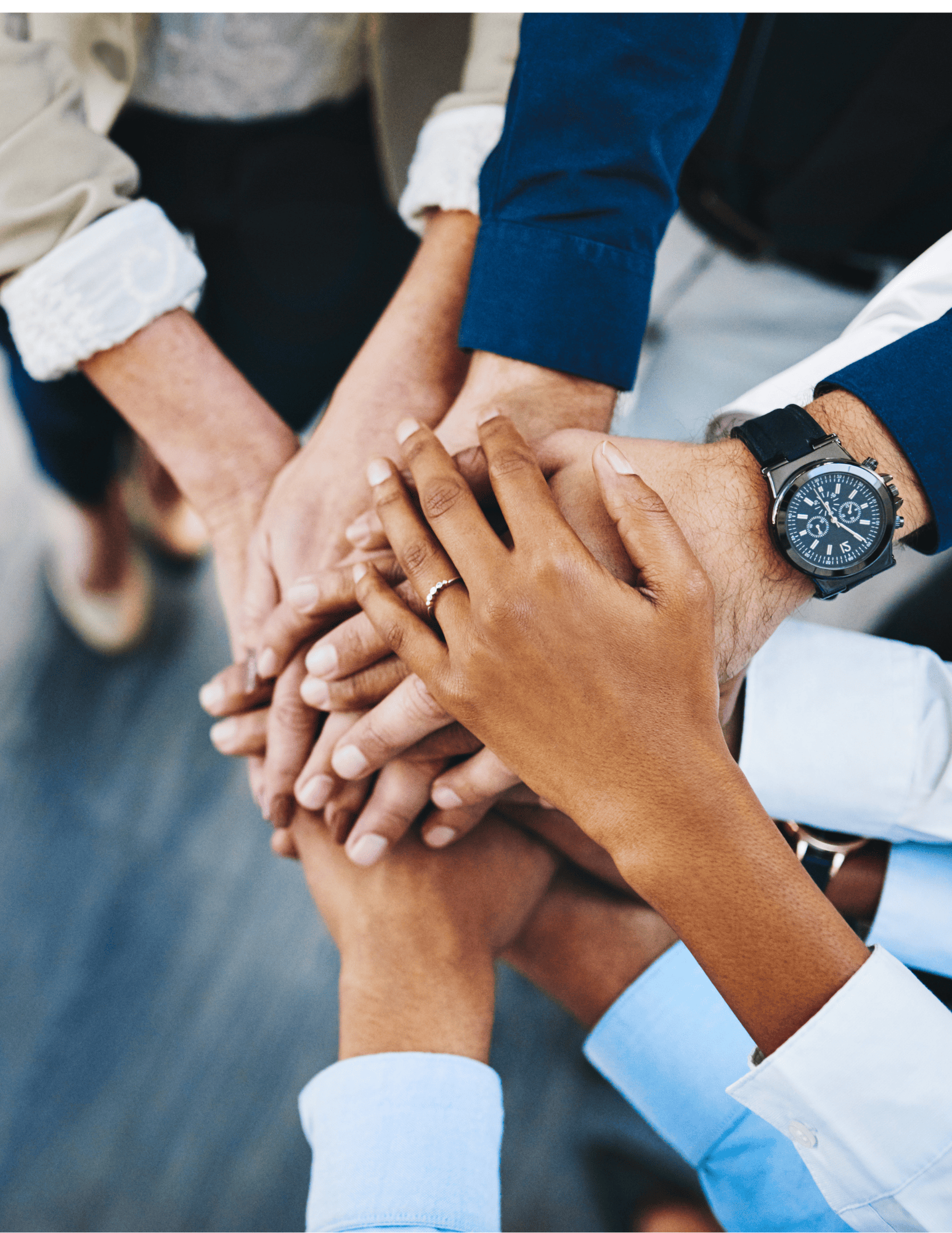 Landscaping Committee | Northern Meadows POA